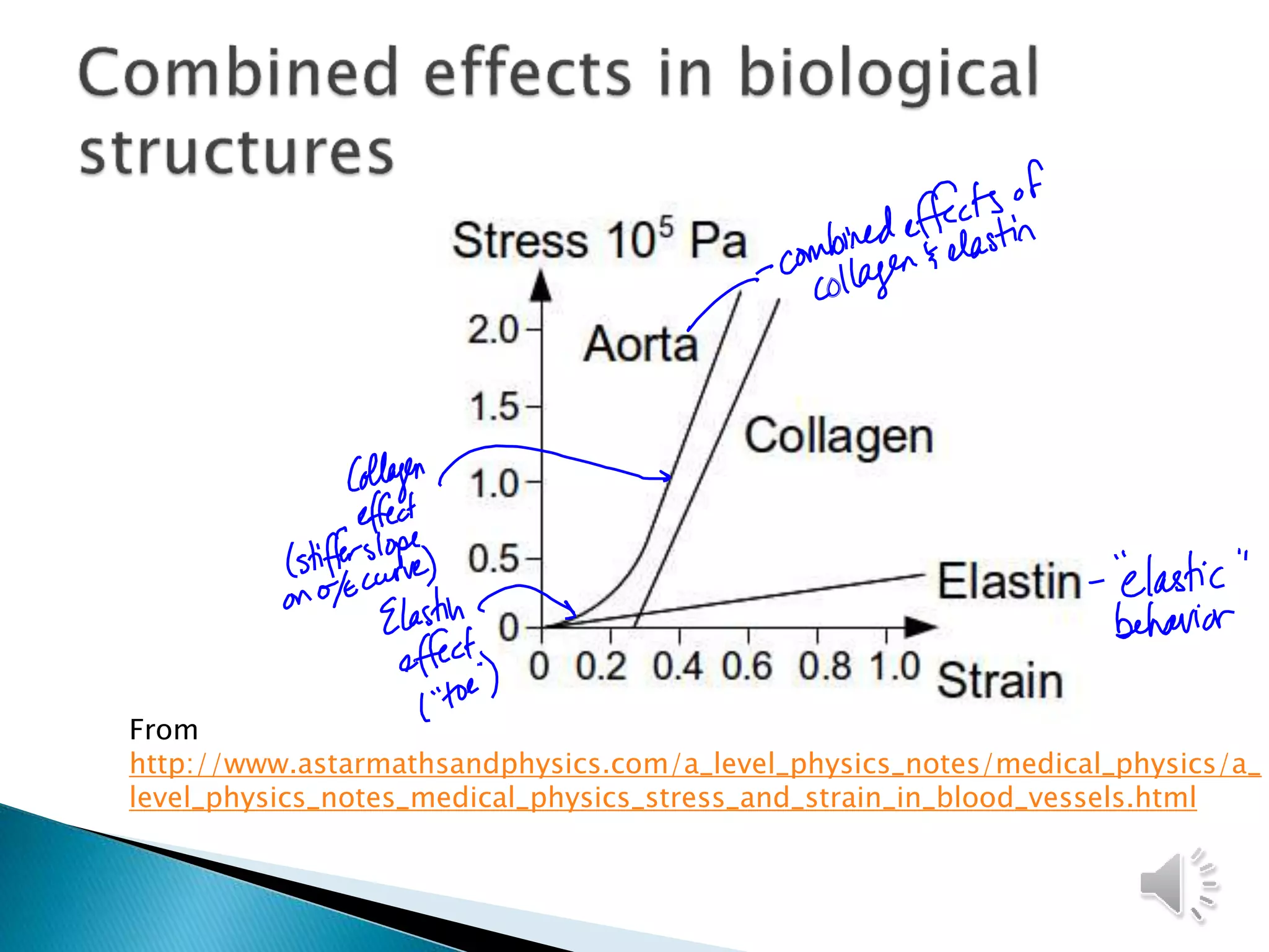 9 Viscoelasticity and biological tissues | PPTX
