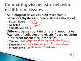 9 Viscoelasticity and biological tissues | PPTX | Geology | Science