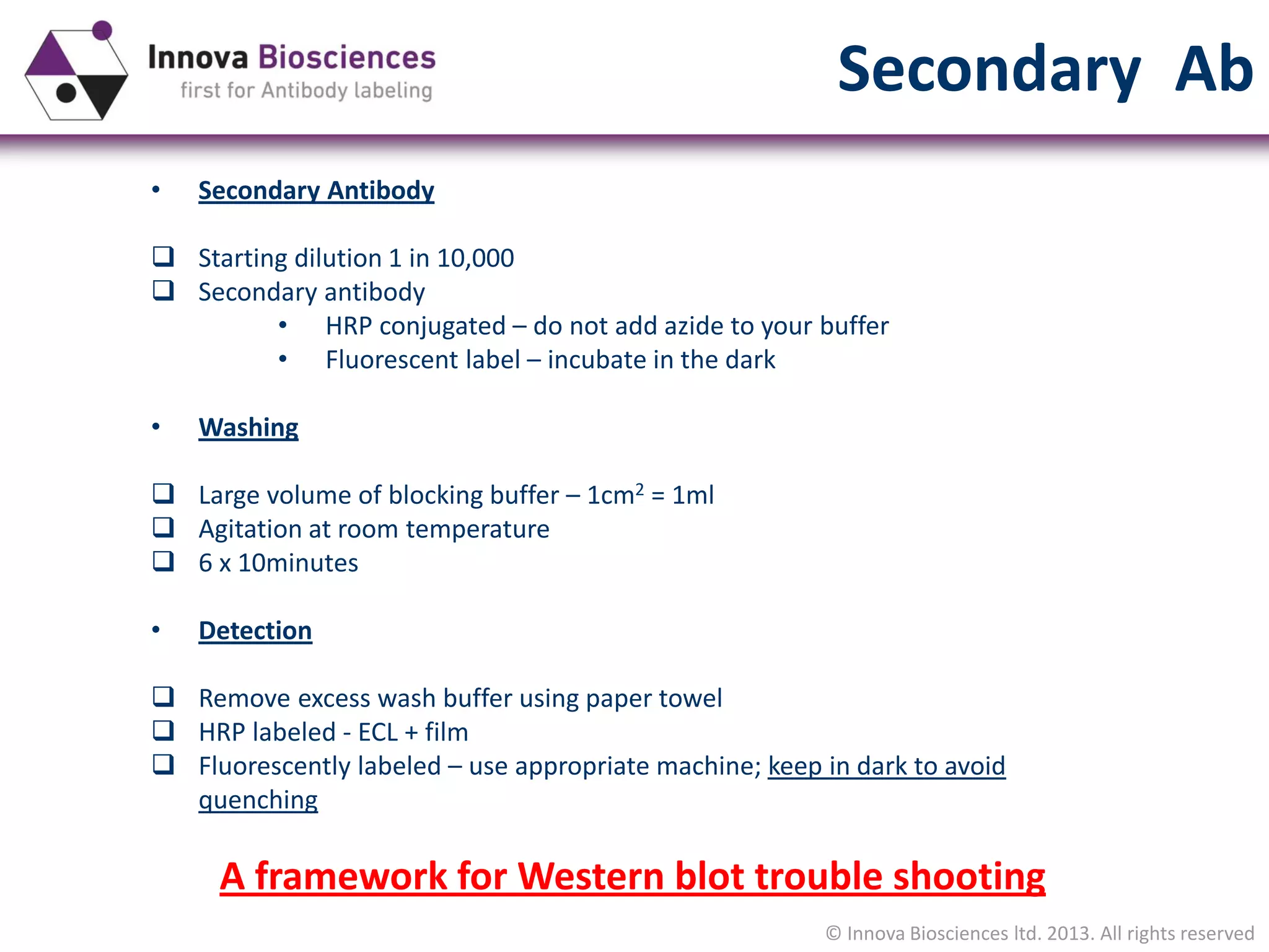 Western blotting - the principles and a comparison of indirect vs ...