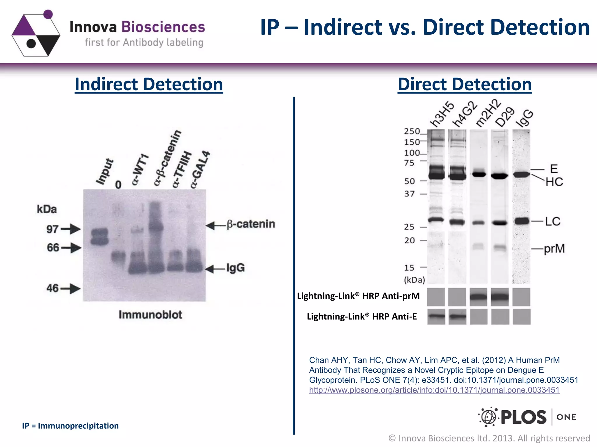 Western blotting - the principles and a comparison of indirect vs ...
