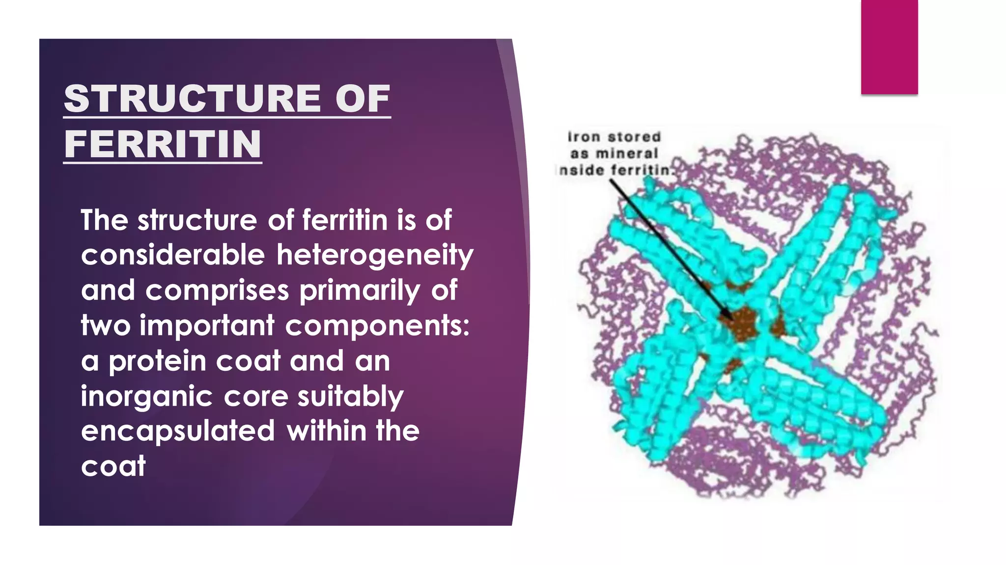Iron storage and_transport | PDF