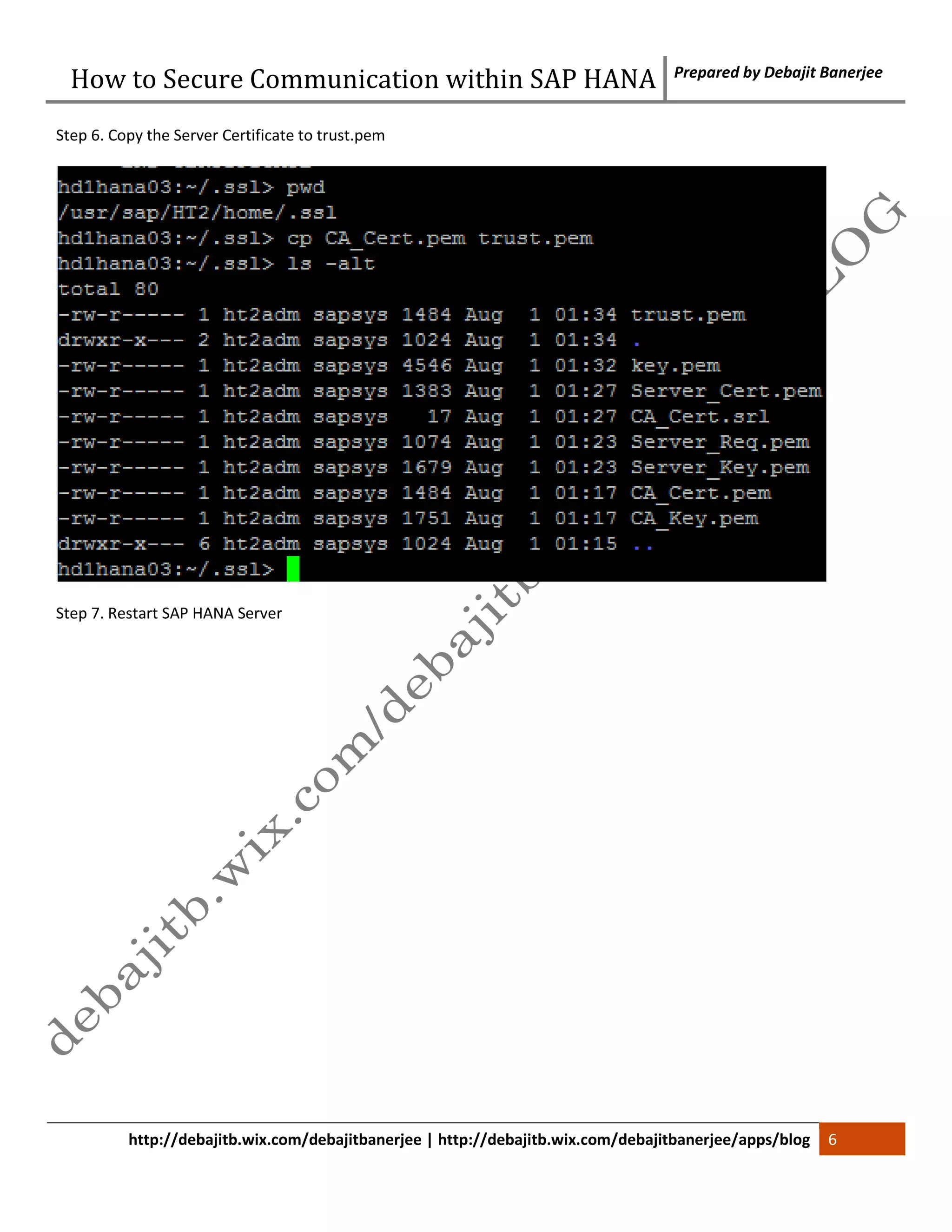 SSL Configuration within SAP HANA | PDF | Computer Software and Applications | Computing