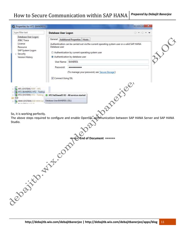 Ssl Configuration Within Sap Hana Pdf Computer Software And Applications Computing