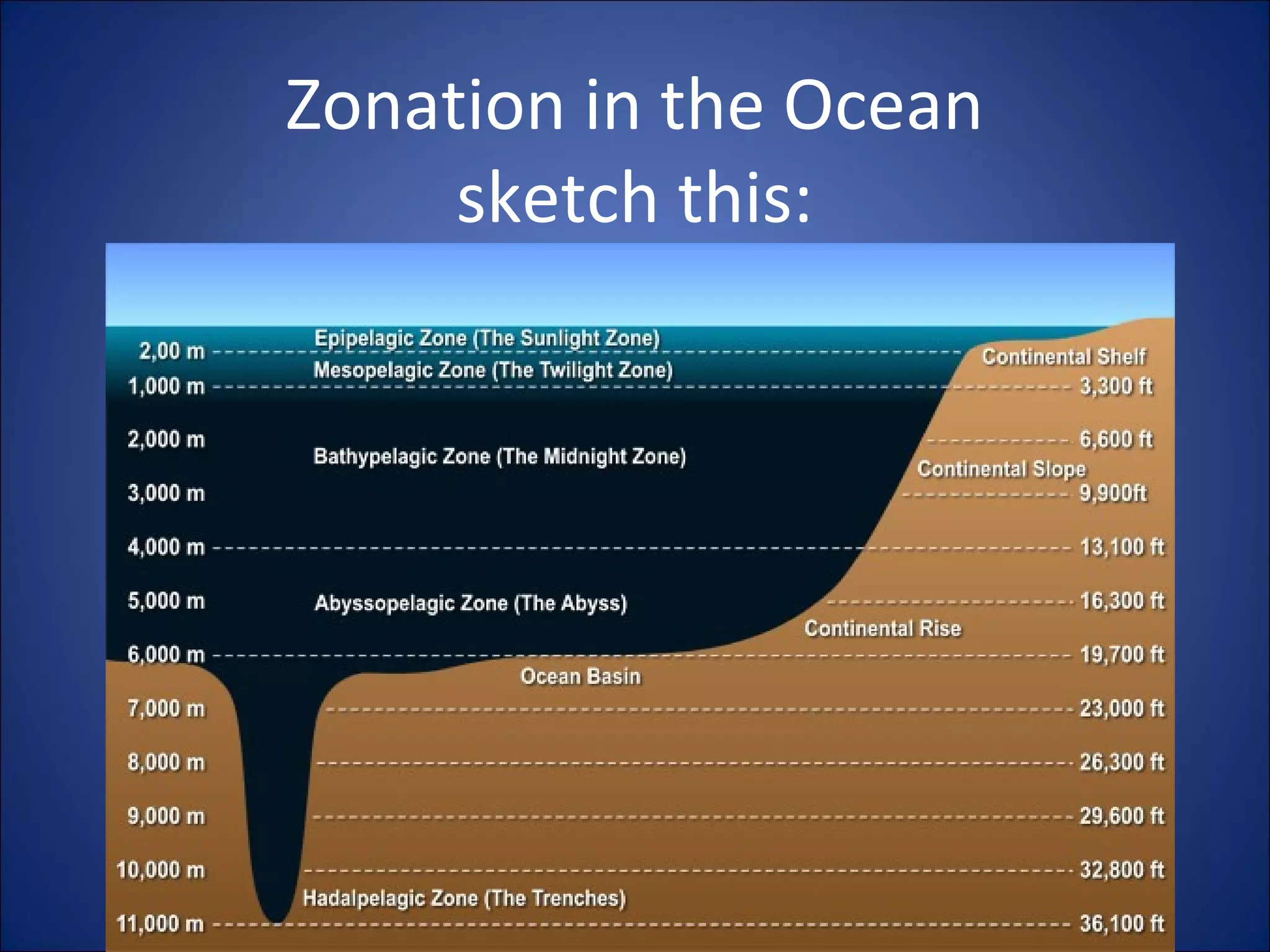 9 zonation in the ocean | PPT