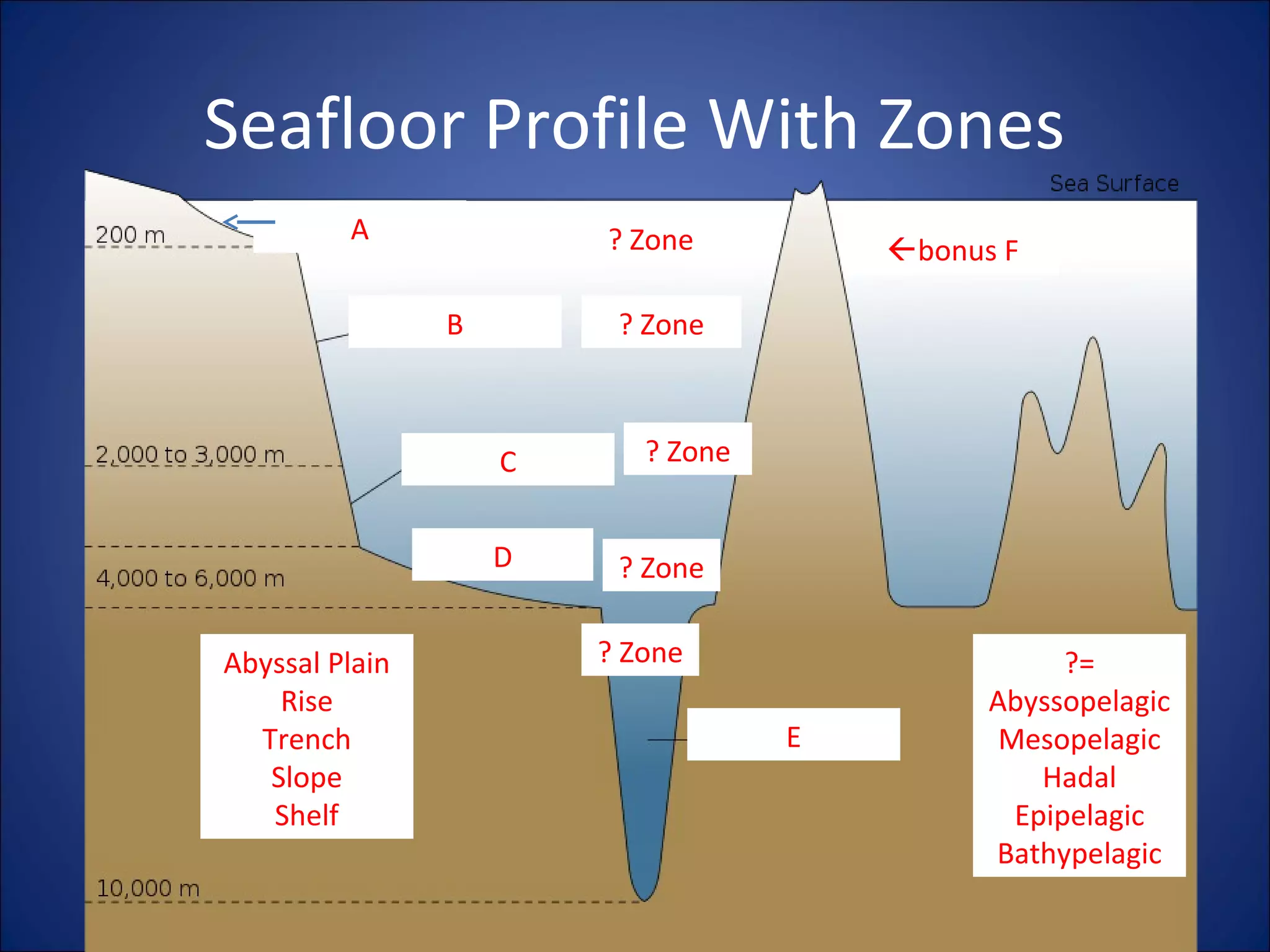 9 zonation in the ocean | PPT