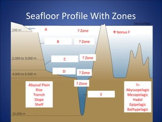 9 zonation in the ocean | PPT