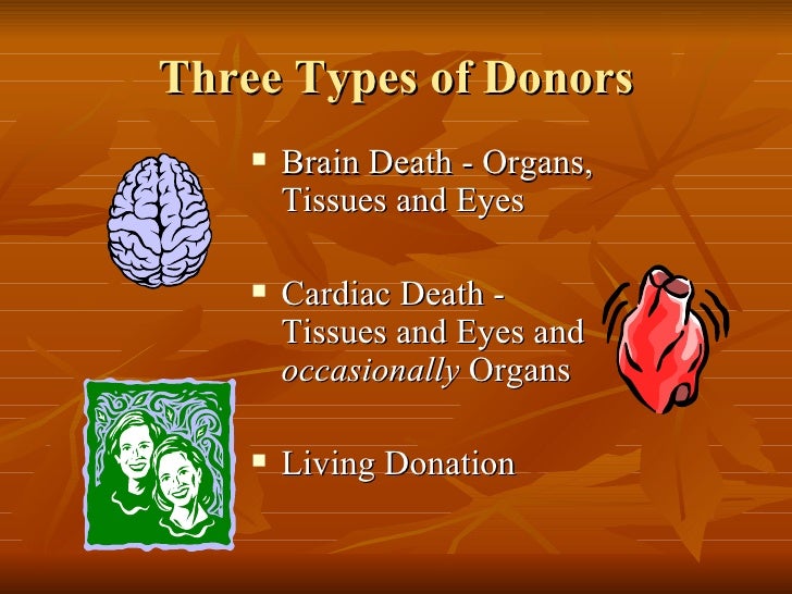 Types Of Organ Donors | Organ Donation Statistics – ZLCNZW