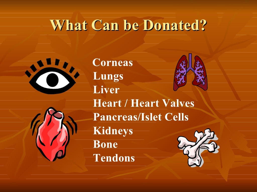 Organ Donation Understanding The Facts