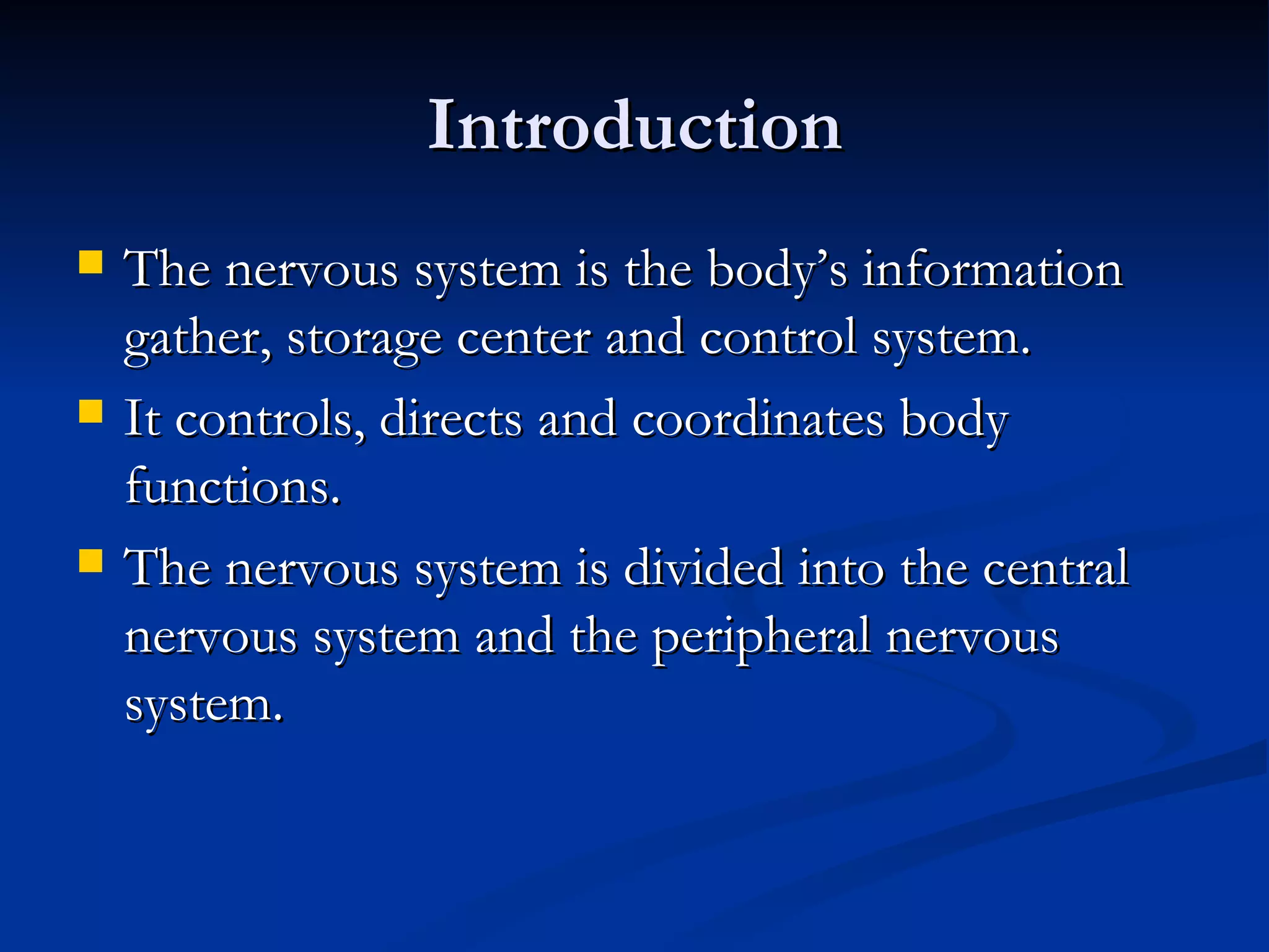 A&P Chapter 23 Nervous System | PPT
