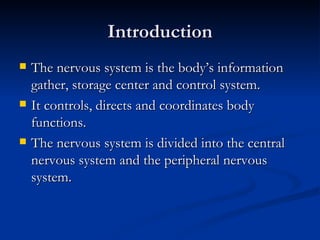 A&P Chapter 23 Nervous System | PPT