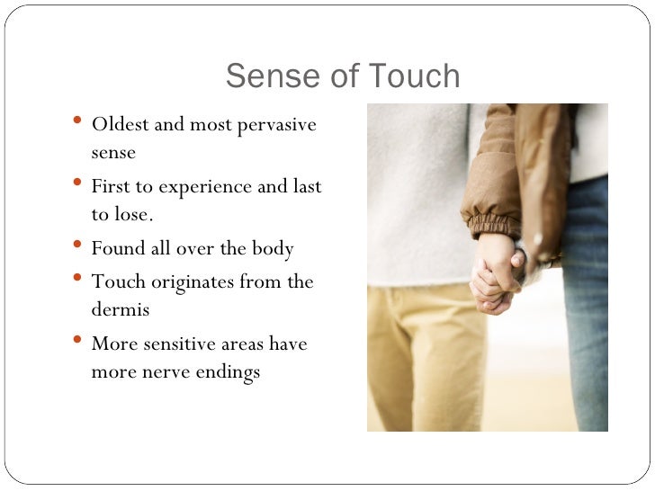 A&P Chapter 24 Special Senses