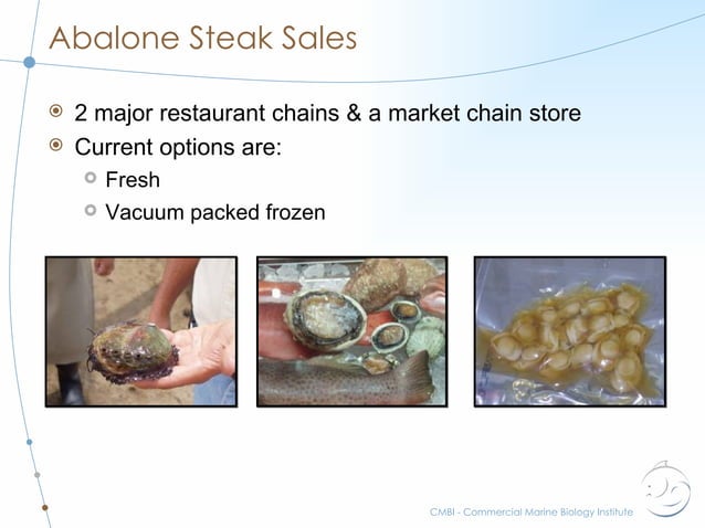 Abalone Farming International | PPT