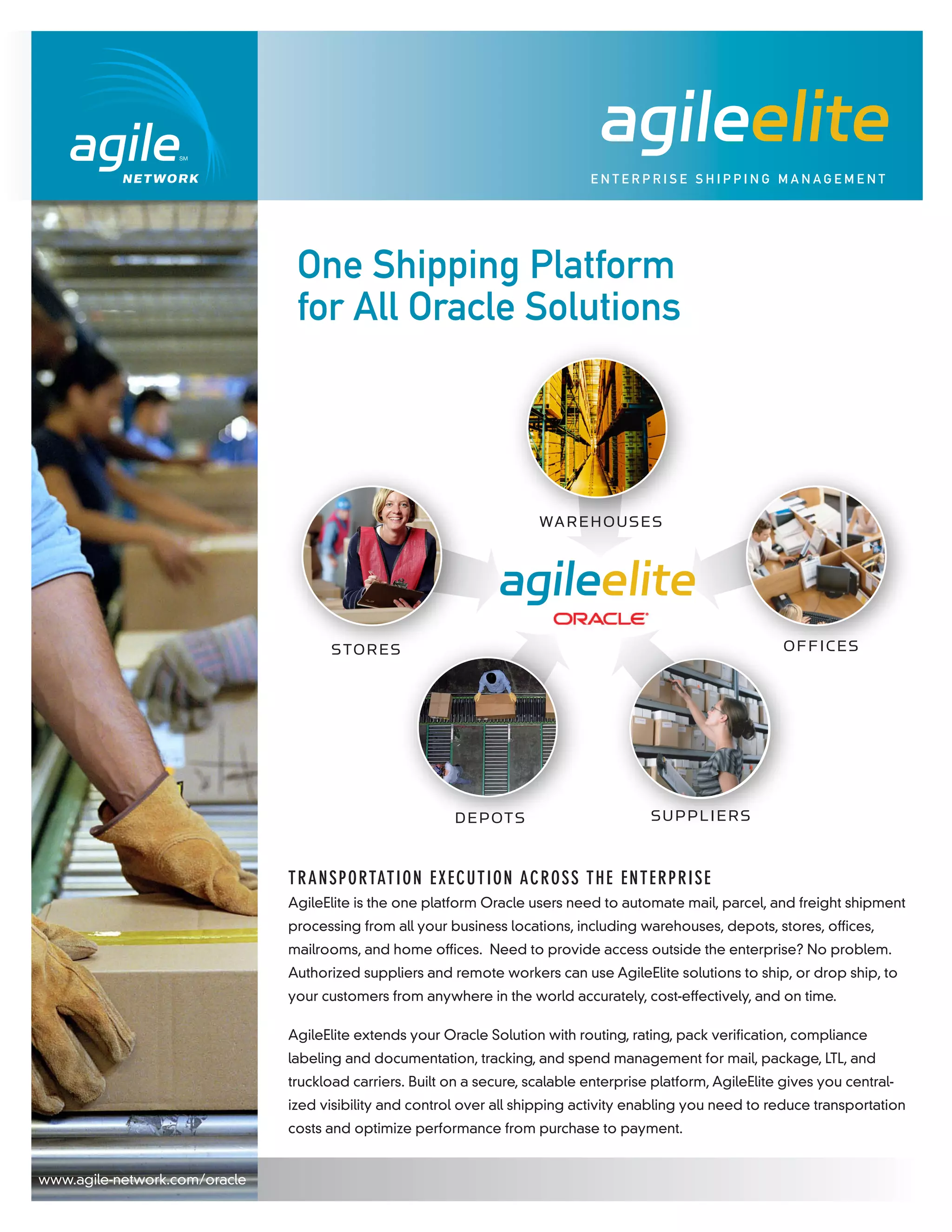 Agile Elite Oracle Brief | PDF