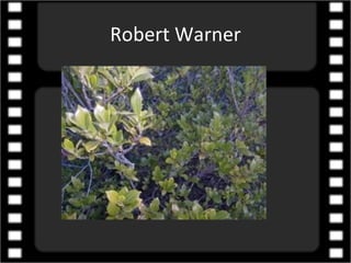 Ambiguous Space Picts | PPT