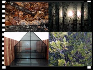 Ambiguous Space Picts | PPT