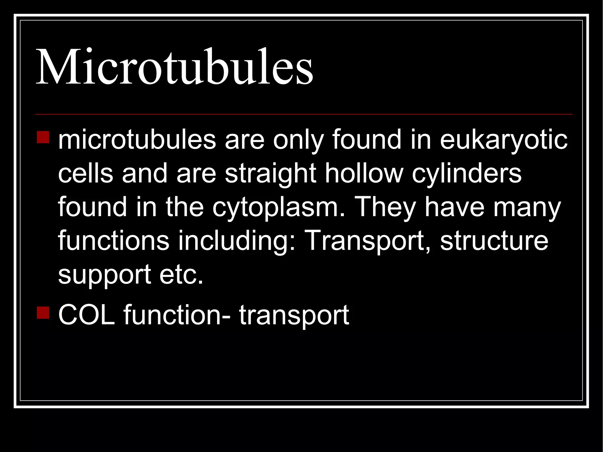 Animall Cell Powerpoint | PPT