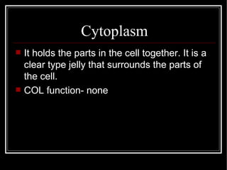 Animall Cell Powerpoint | PPT