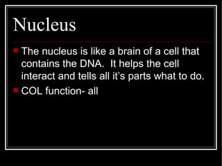 Animall Cell Powerpoint | PPT