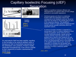 Assessment Of Mems Blood Separation Techniques | PPT