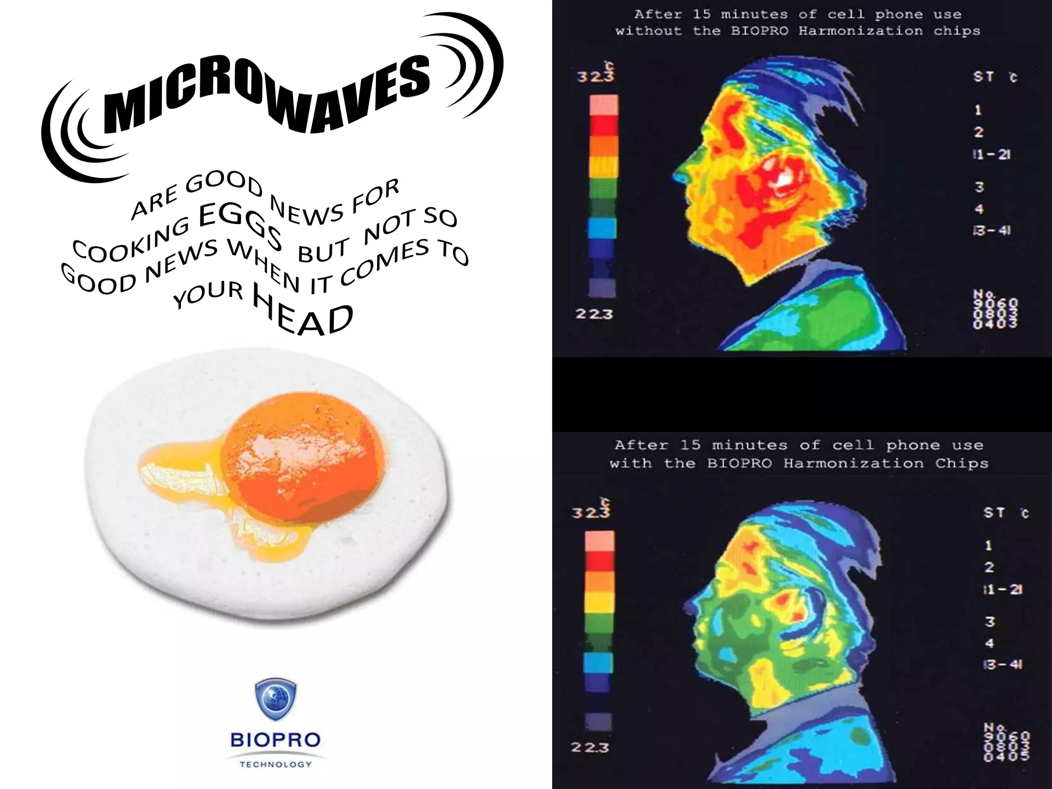 Bio Pro Trade Brochure | PDF