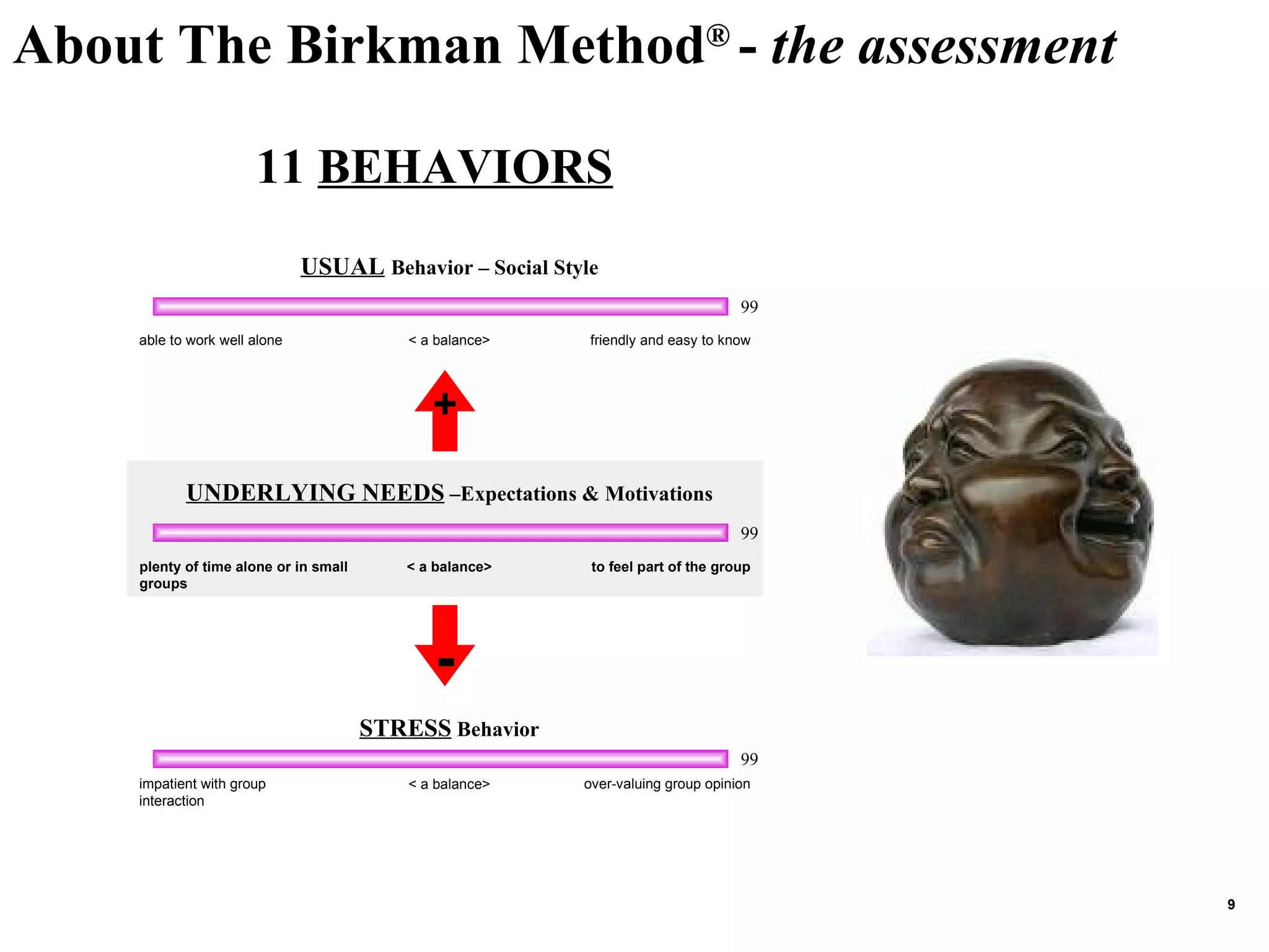 Birkman Presentation Overview | PPT