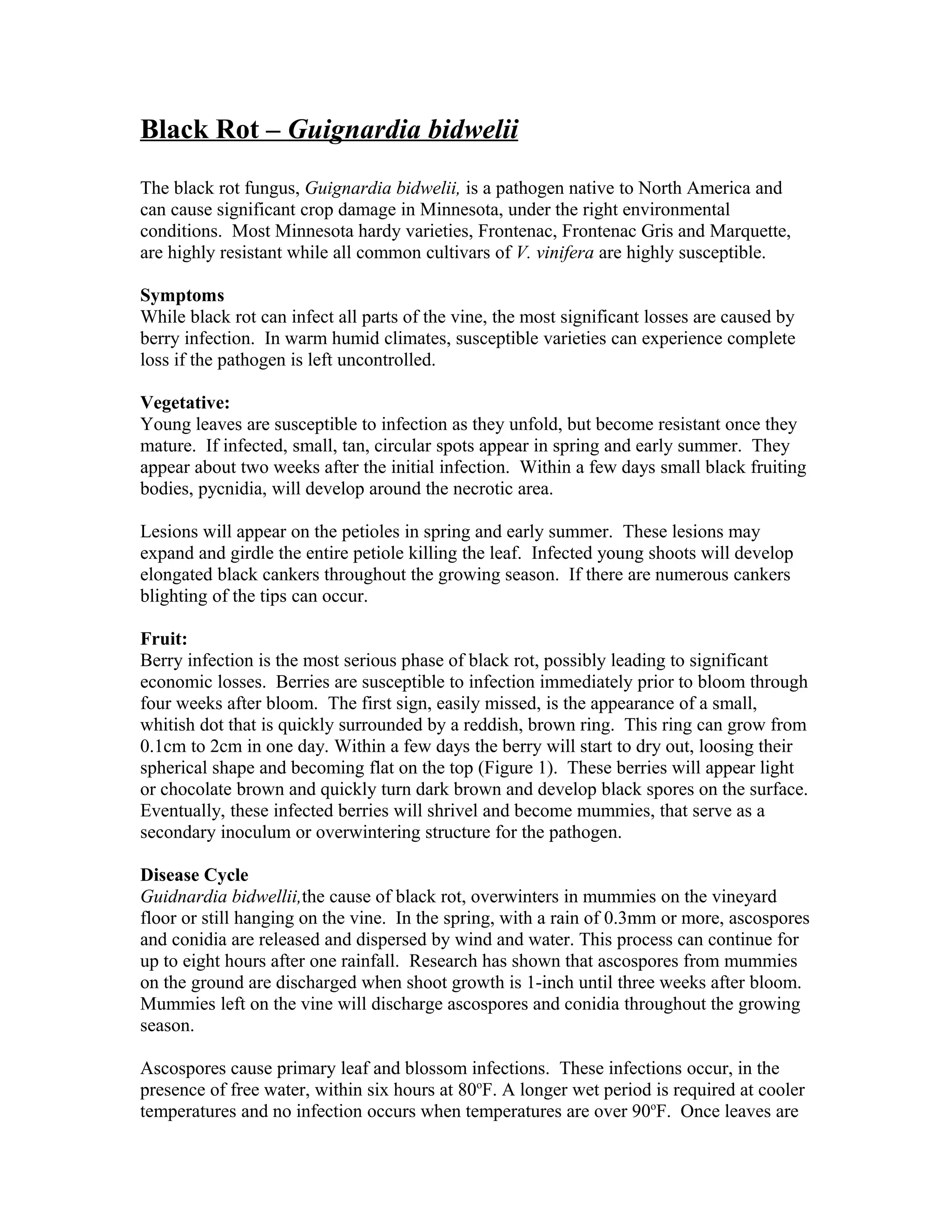Black Rot | DOC | Agriculture | Industries