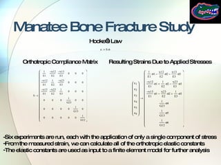 Bone Mechanics - Leismer and Walsh 2006 | PPT