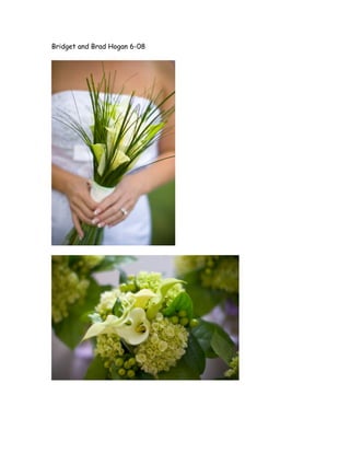 Bridget And Brad Hogan 6 08 | DOC