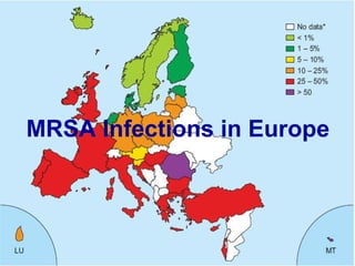 Cannula And Infection | PPS | Infectious Diseases | Diseases and Conditions