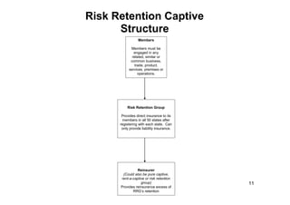 Captive Insurance Basics | PDF