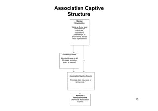 Captive Insurance Basics | PDF