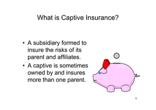 Captive Insurance Basics | PDF
