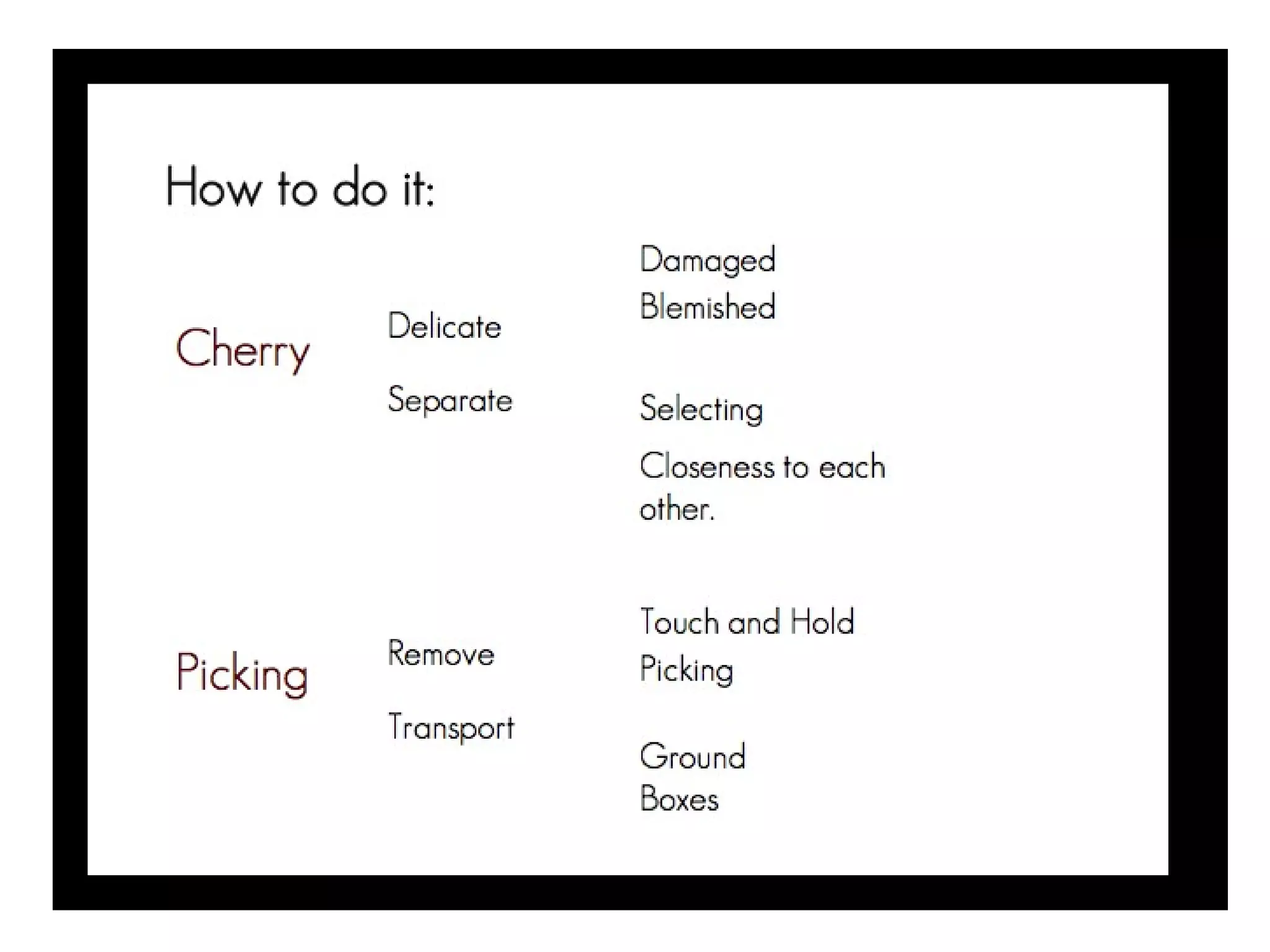 Cherry Split | PPT