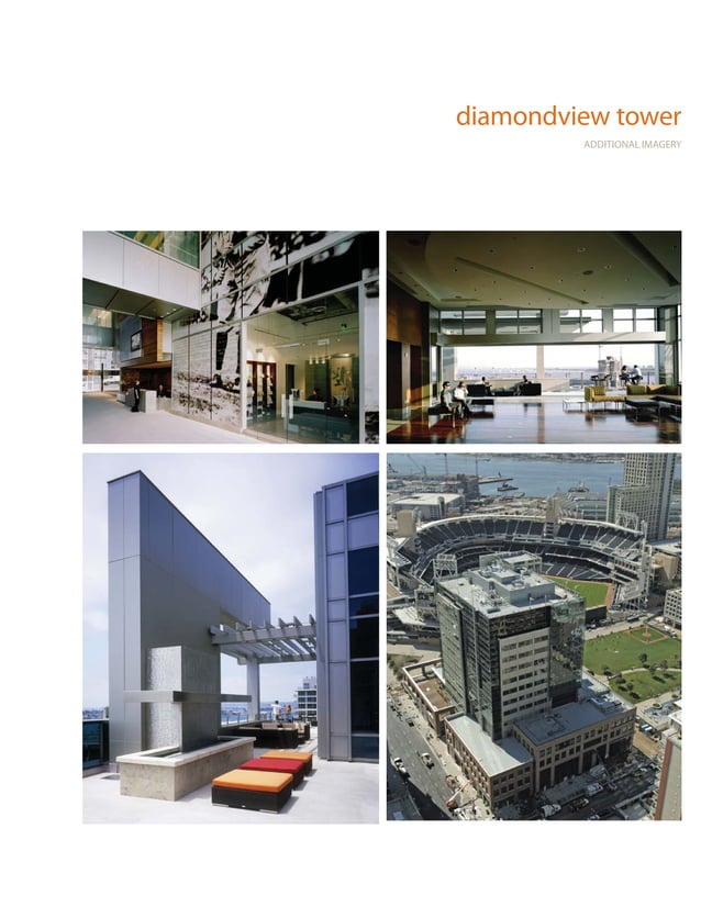 DVT Project Brief | PDF