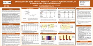 Cumbre Icaac 2007 Poster F1 2105 | PPT