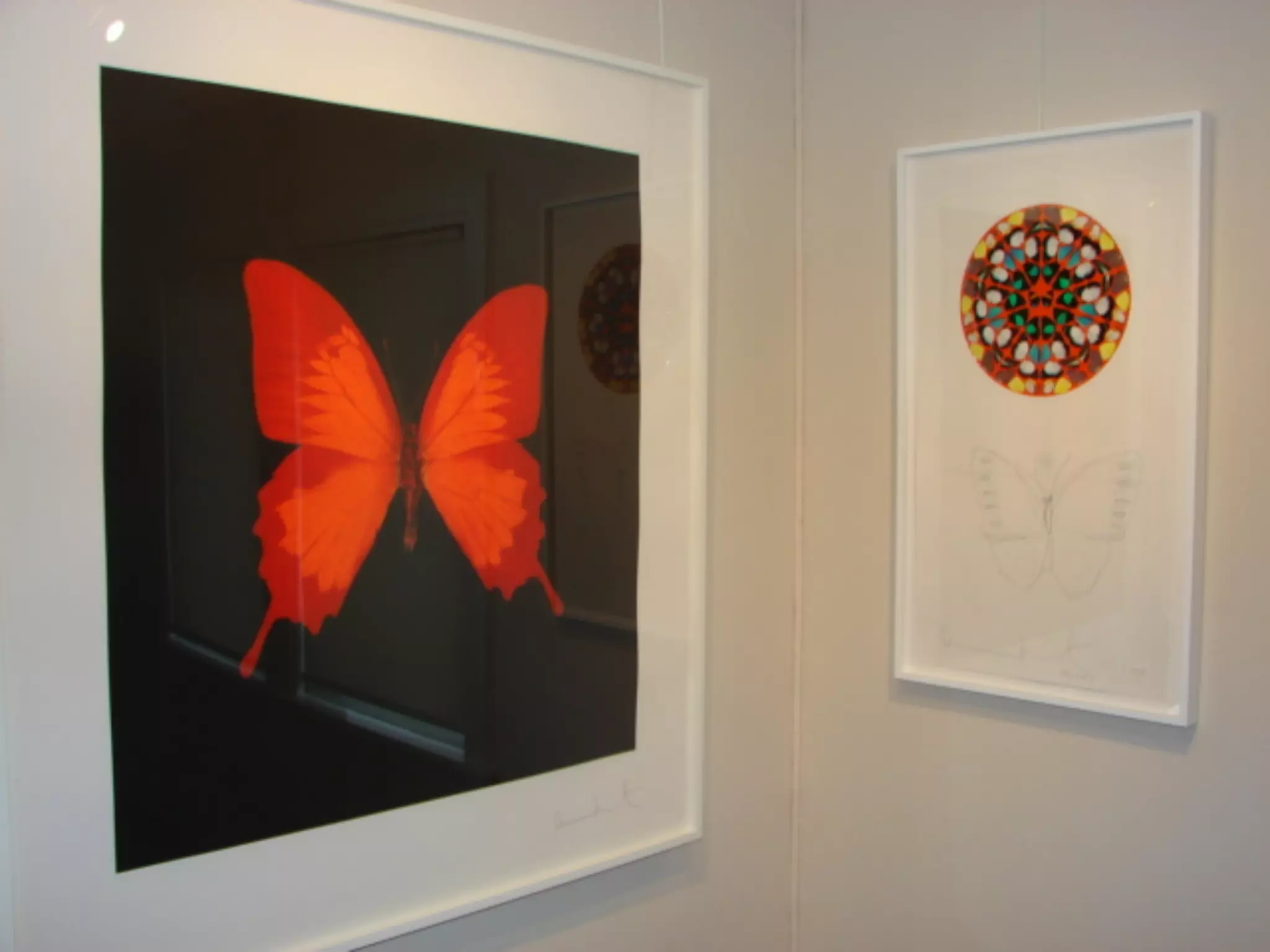 Damien Hirst Butterflies | PDF