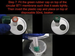 Disposable Electroelution System | PPT