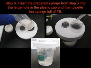 Disposable Electroelution System | PPT