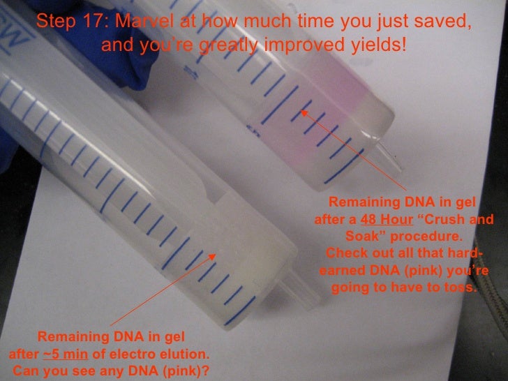 Disposable Electroelution System