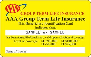 AAA Life Insurance Direct Mail | PDF