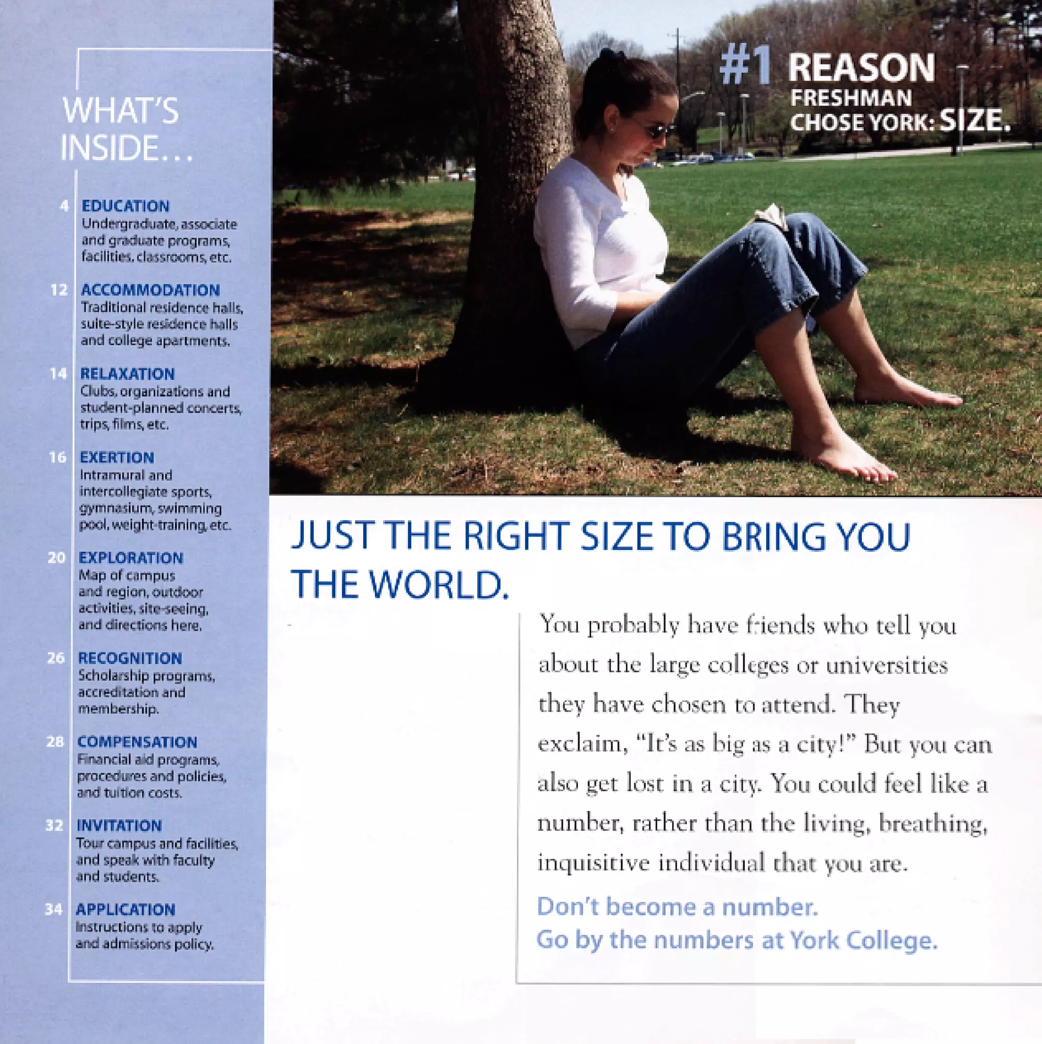 York College Viewbook | PDF