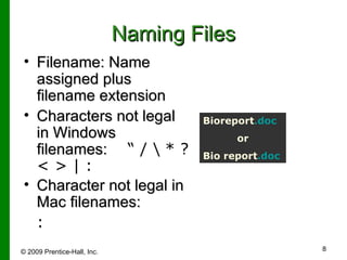File management ppt | PPT