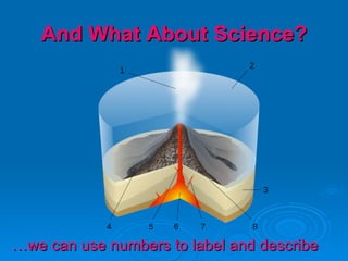 The Importance of Numbers | PPT