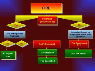 Emergency Evacuation Procedures | PPT