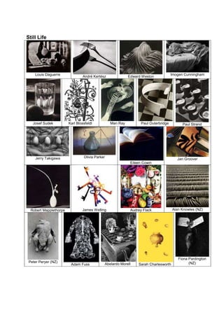 Established Practice In Photography | PDF