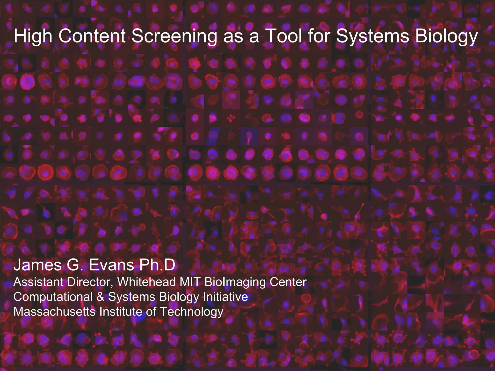 HCS as a tool for Systems Biology | PPT