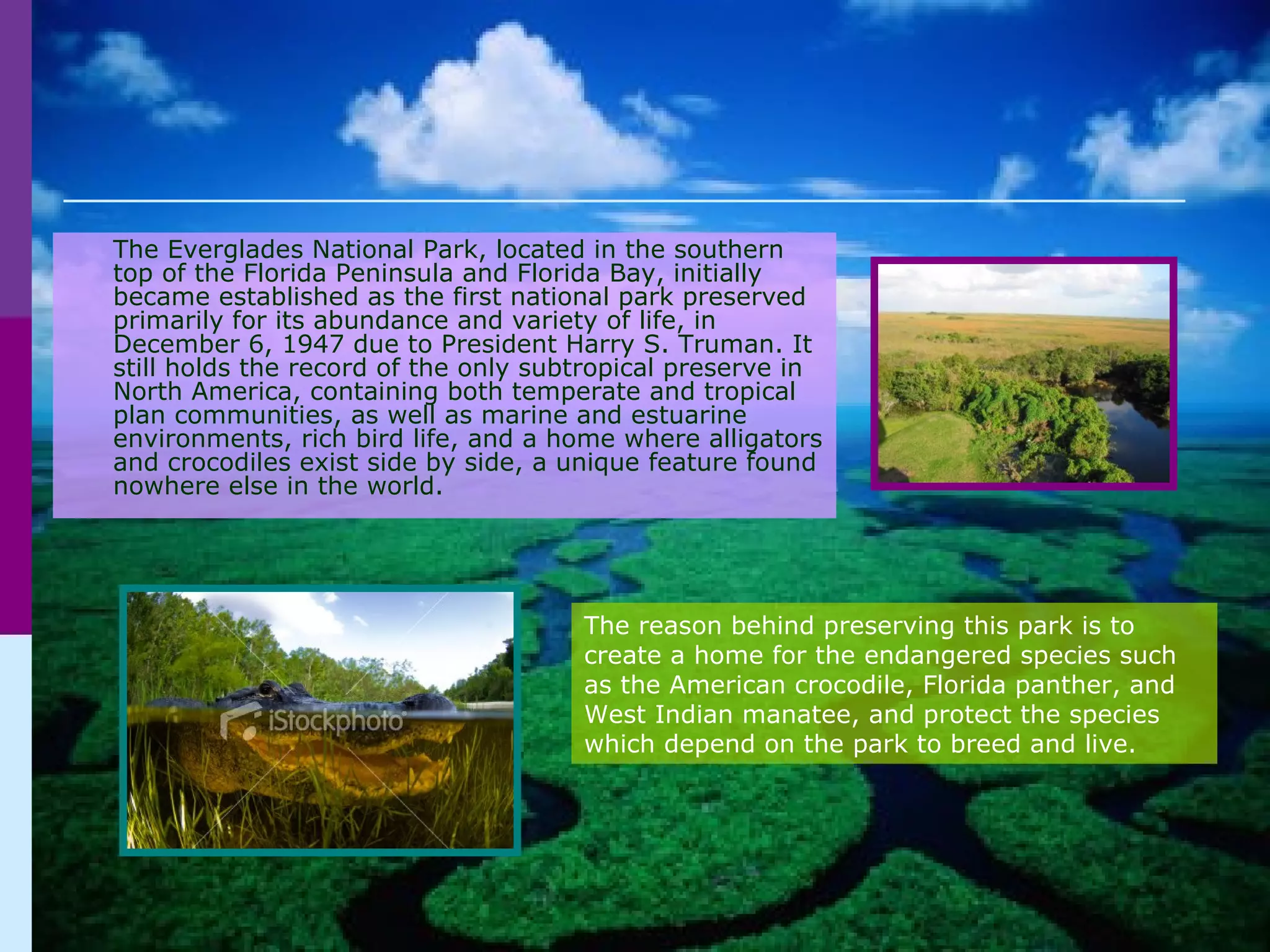 Everglades Biome | PPT
