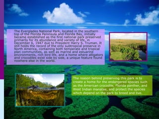 Everglades Biome | PPT