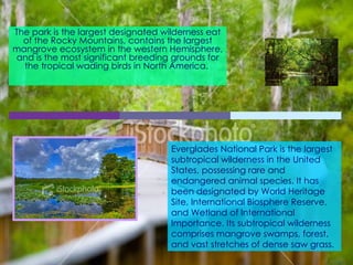 Everglades Biome | PPT