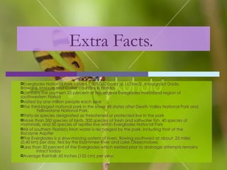 Everglades Biome | PPT